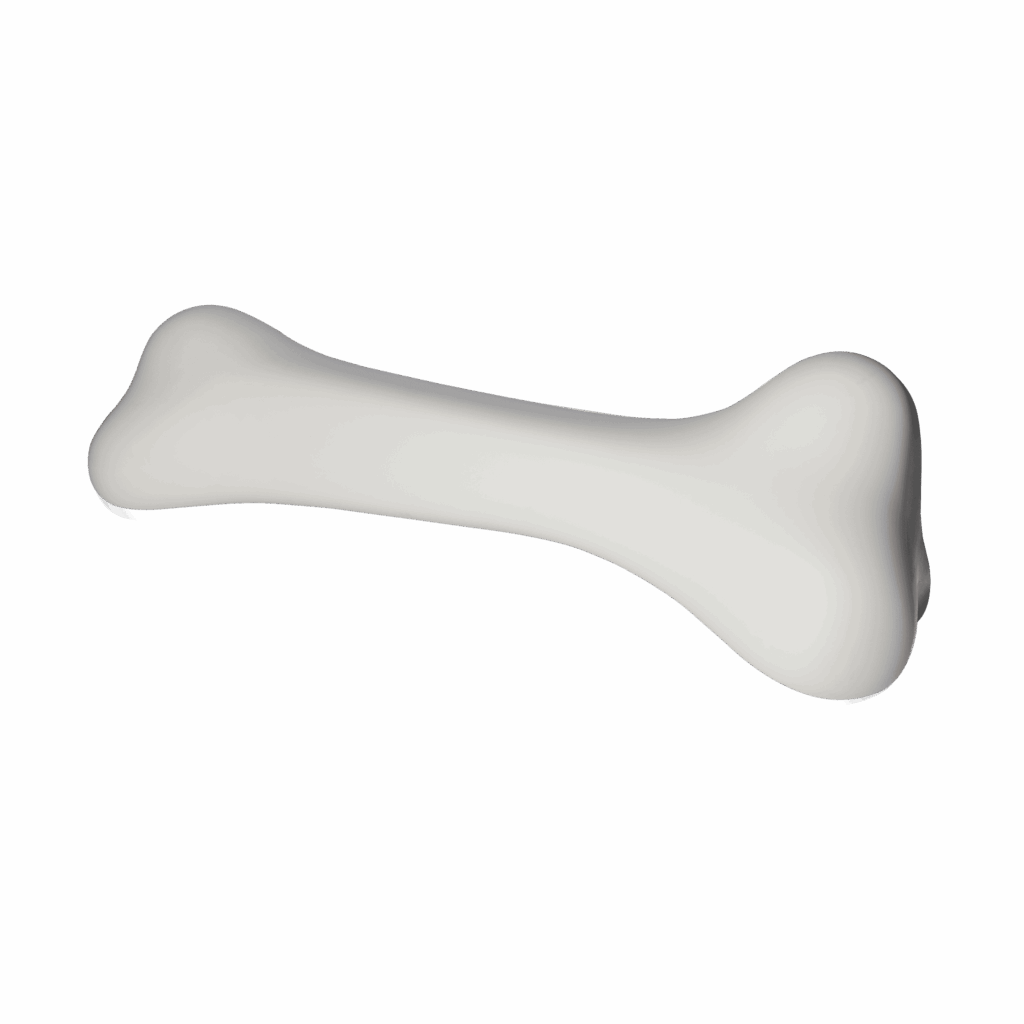 아이보리 qeeboo 퀴부 한국공식독점수입원